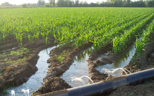 Subsurface drip irrigation | Pipelife